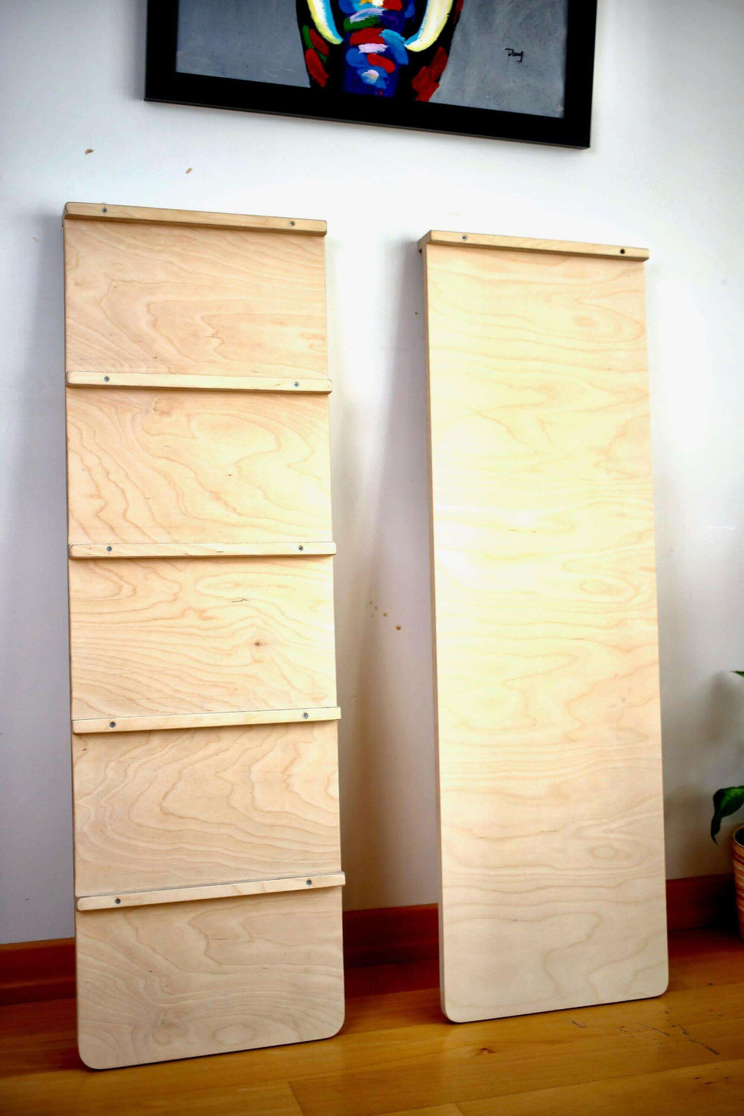 Reversible Ladder Climbing / Sliding Ramp – Kidodido